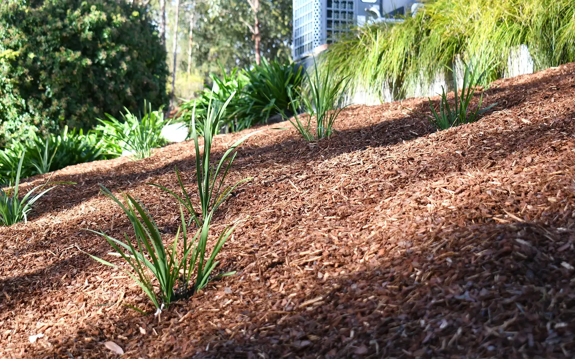 Ballarat North - Mulch Beds + Retaining Wall