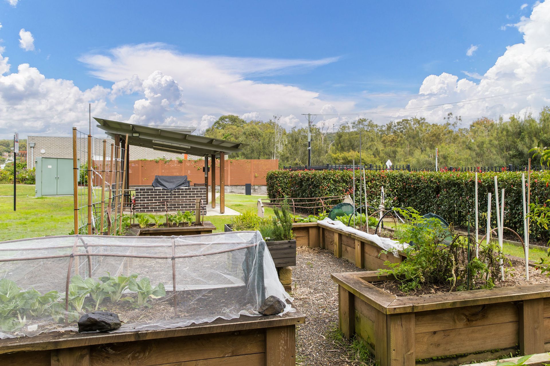 Elements of Toronto Over 55's Retirement Village