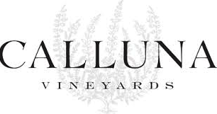 See Our Hand-Crafted Wine Suppliers | DiBacco Importing & Distributing