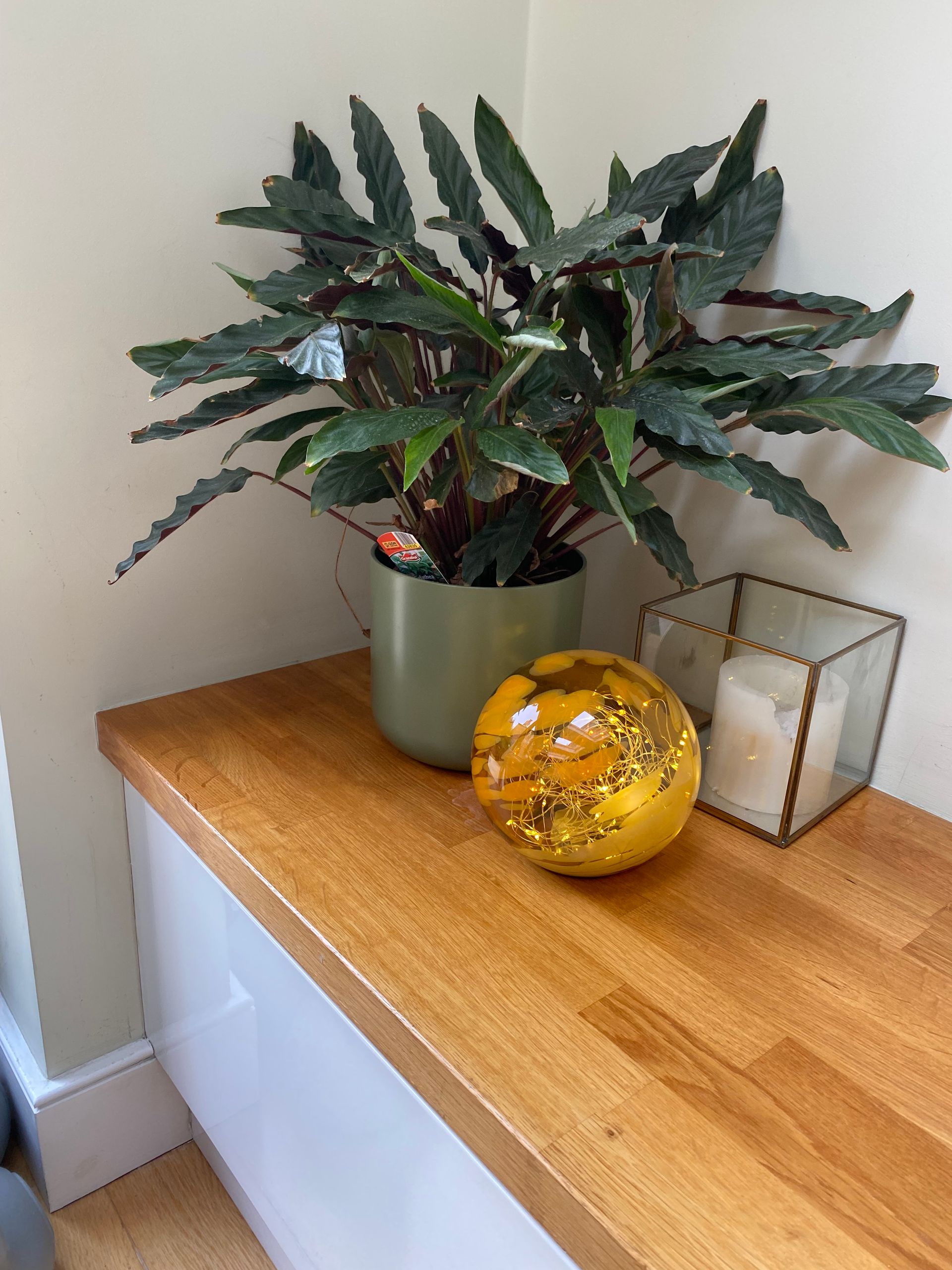 Blown Glass Chandeliers | Bespoke Lighting | Roast Designs