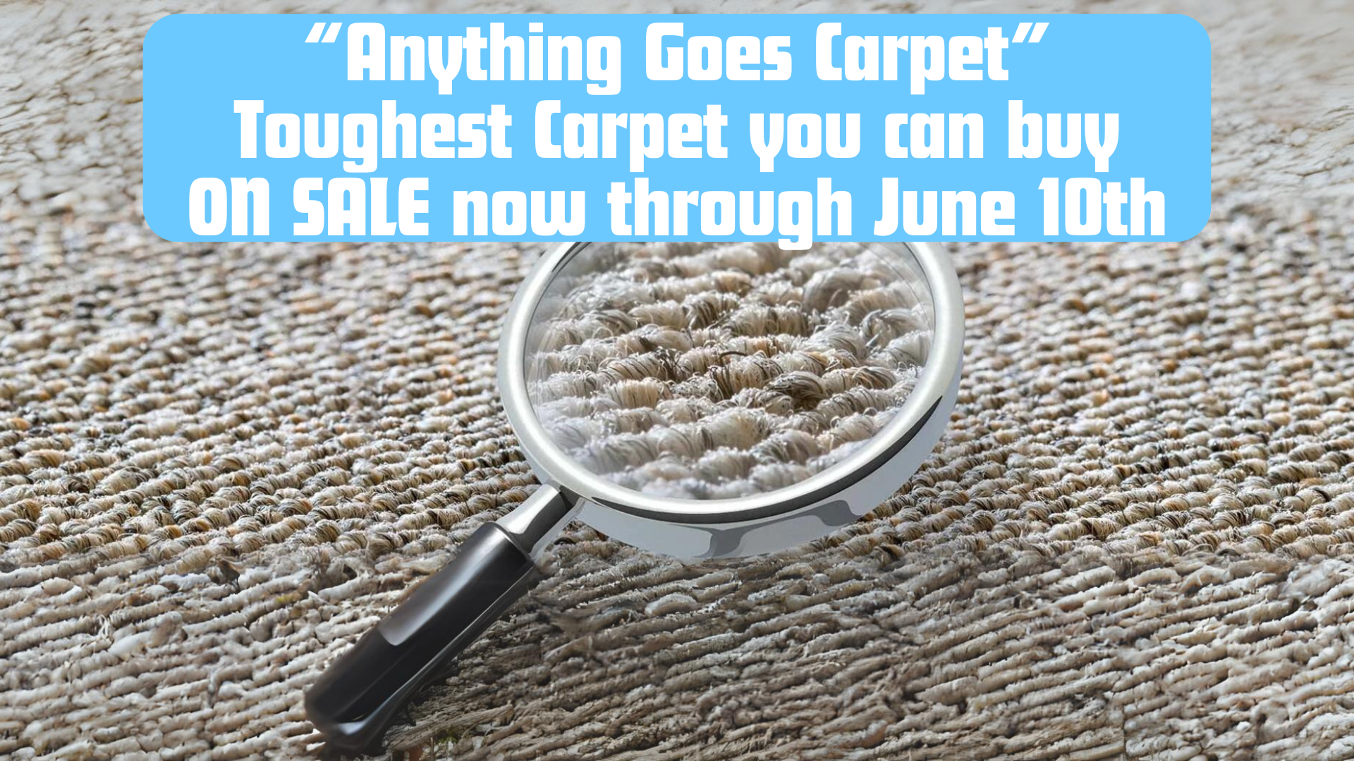 Carpet Flooring in Willoughby, OH | Lake Shores Carpet