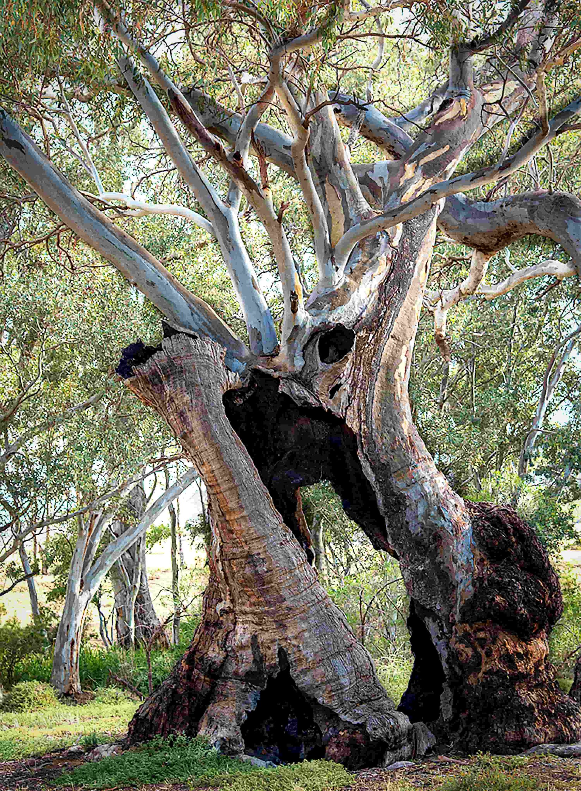 Gallery | Up Here Photography