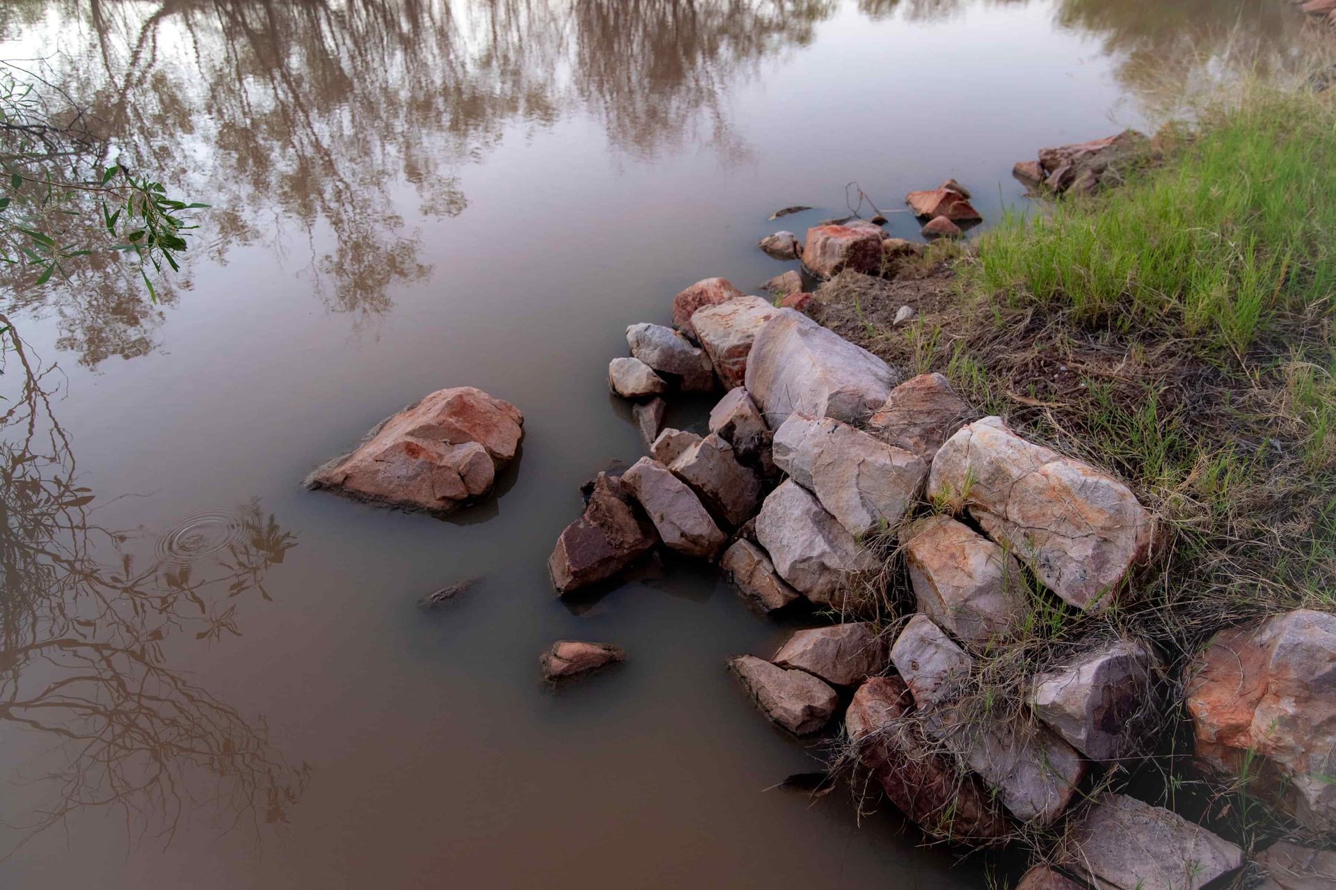 Gallery | Up Here Photography