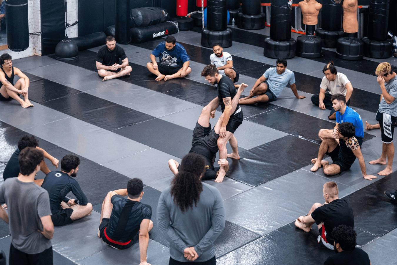 About Ray Longo's Mixed Martial Arts Programs