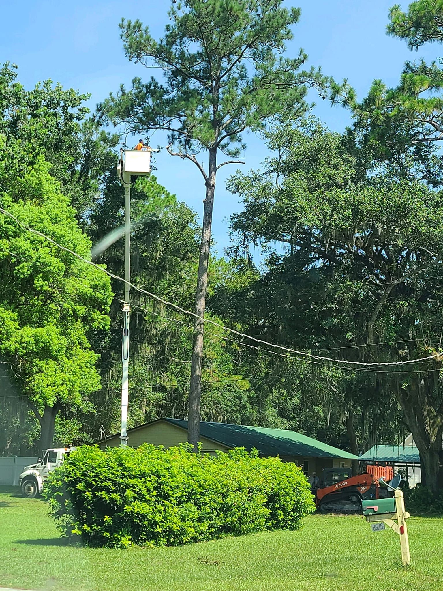 Land, Lawn, and Home Services | Live Oak, FL | Busy Bee