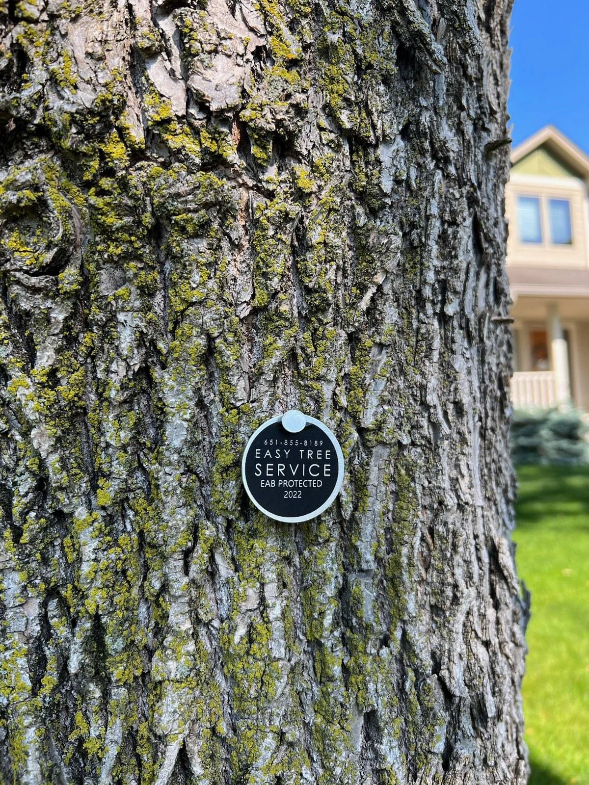 Home | Easy Tree Service, LLC | Lakeville, MN