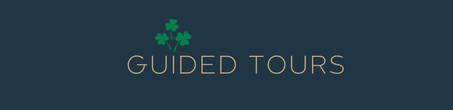 Guided Tours | Explore, Discover and Go Wild in Ireland