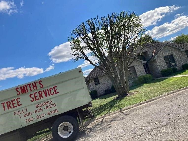 Tree Services & Removal | New Castle, IN | Smith's Tree Service