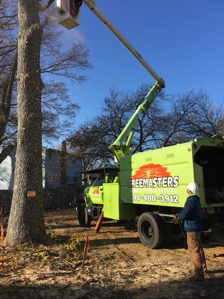 Treemasters Tree Services Ocean County, Monmouth County