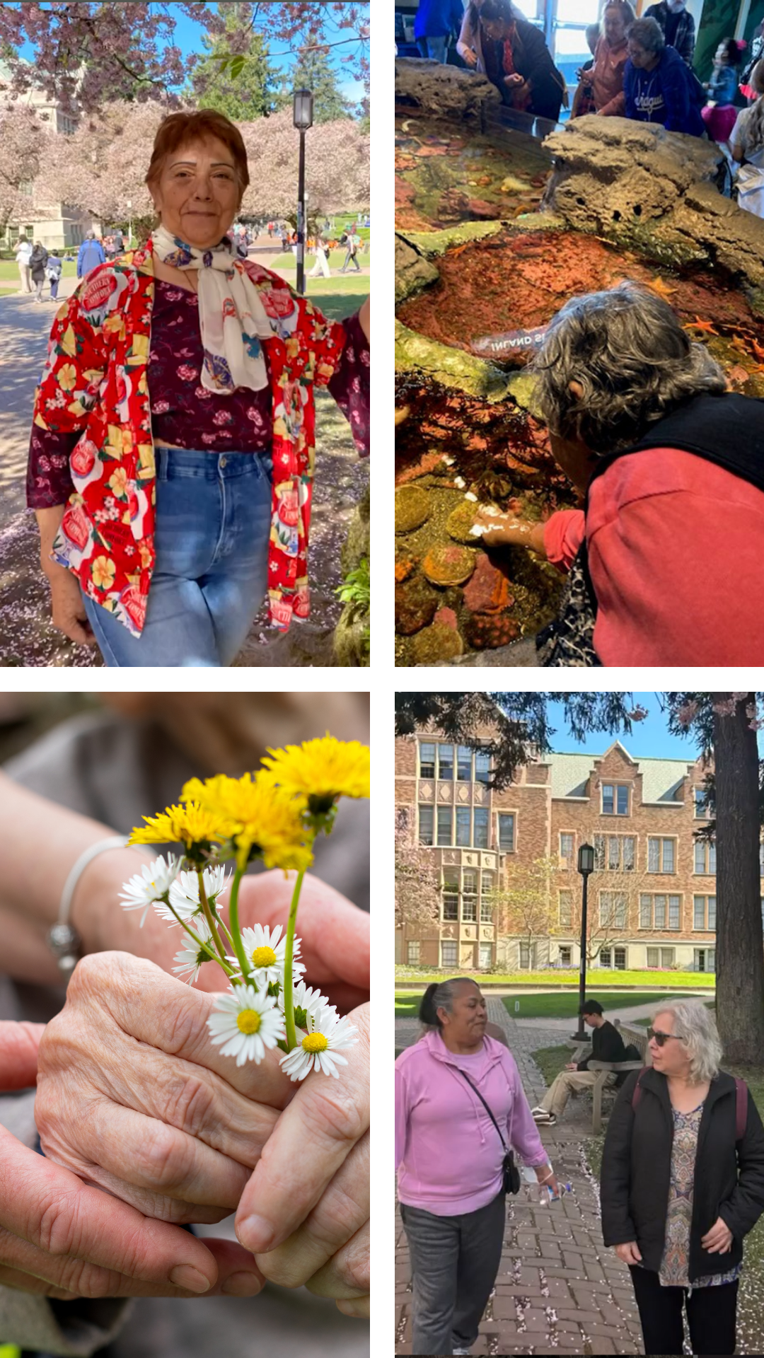 Mental Health Services | Consejo Counseling & Referral Services | Seattle