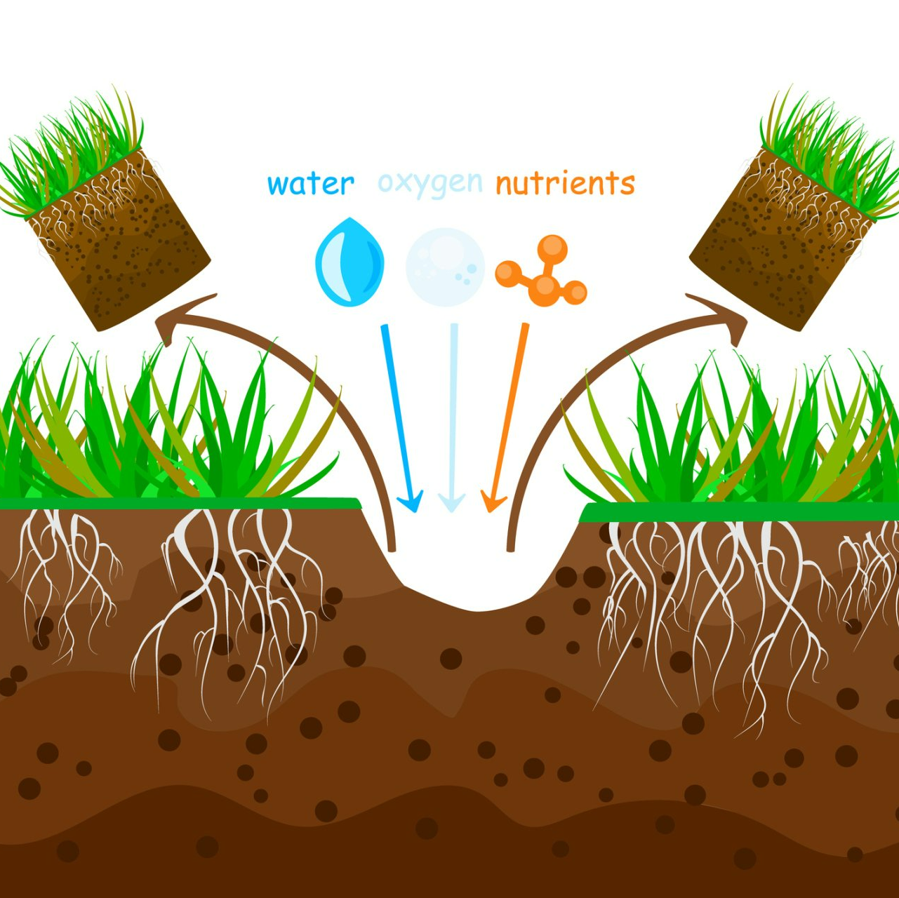 Beautiful Lawns | Tinton Falls, NJ | Dirt & Turf