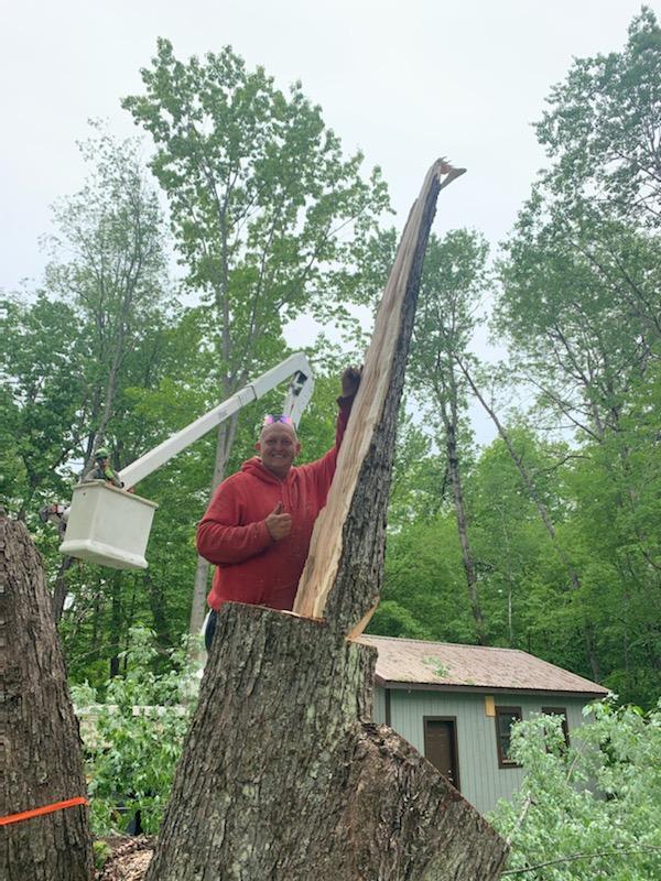 Tree Removal, Tree Trimming, Stump Removal Clifton Park, NY - Clear ...