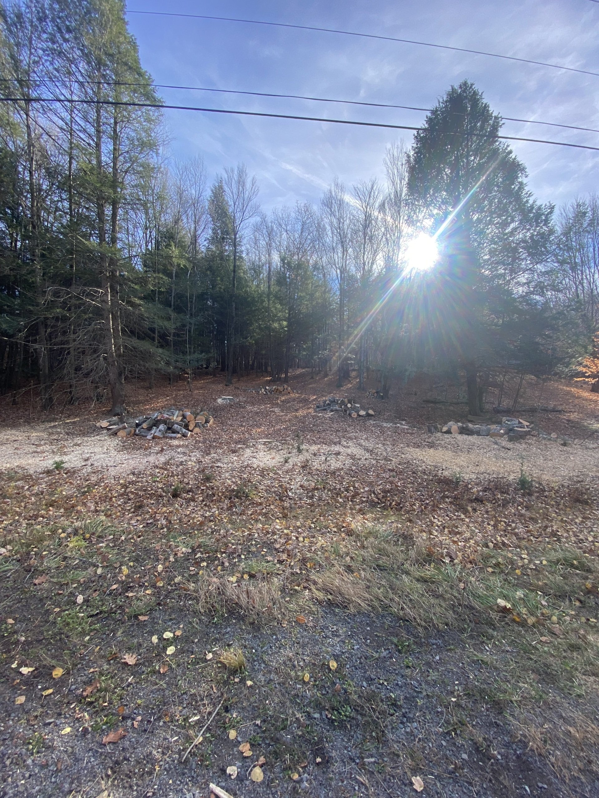 Top Notch Tree Care & Removal | Catskill, NY