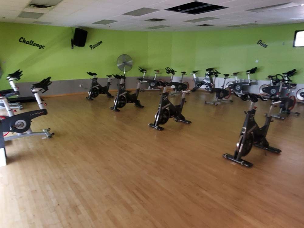 Buffalo Gallery | Fitness Evolution