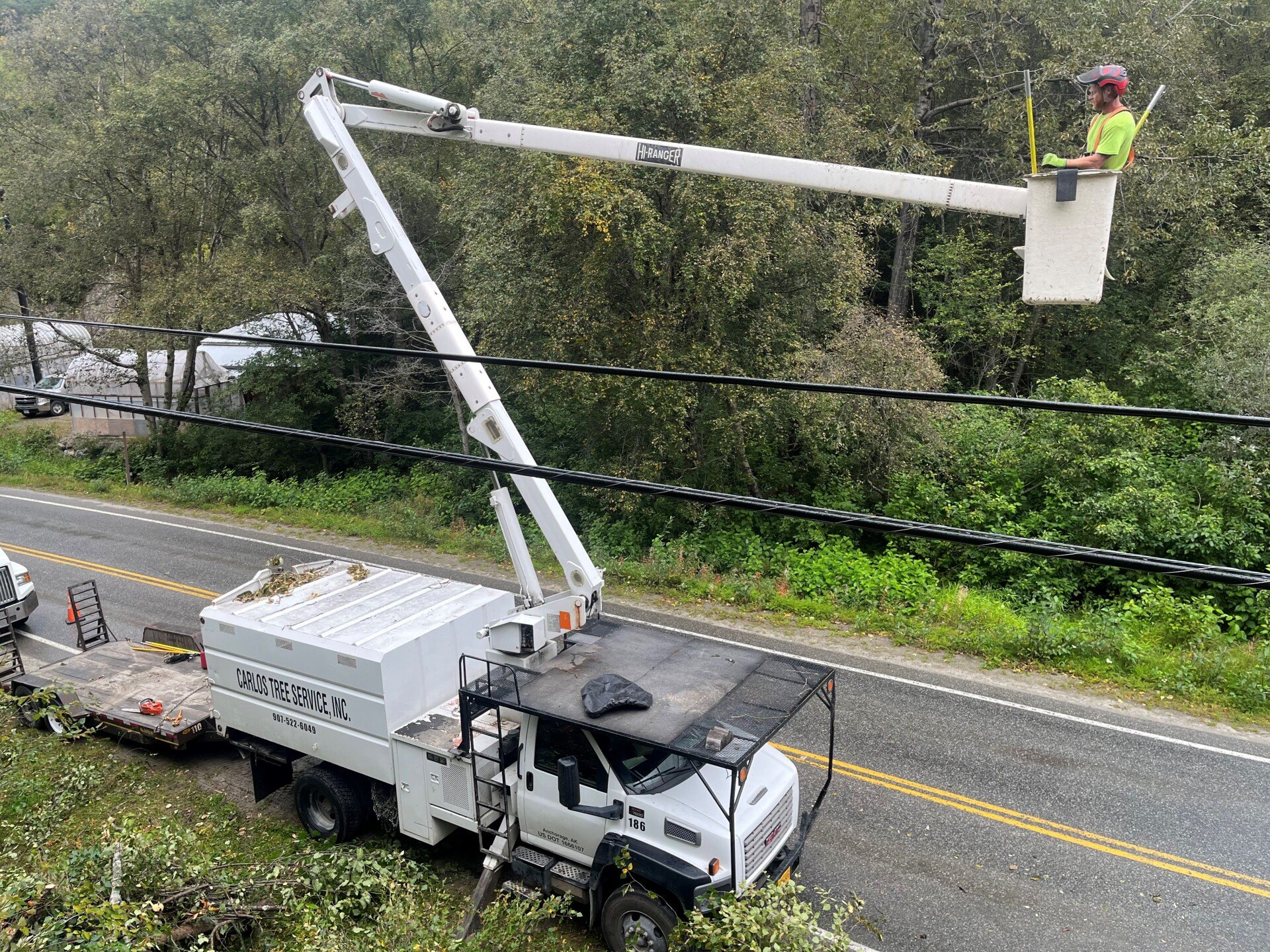Tree Work | Anchorage, AK| Carlos Tree Service Inc