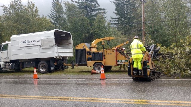 Tree Work | Anchorage, AK| Carlos Tree Service Inc