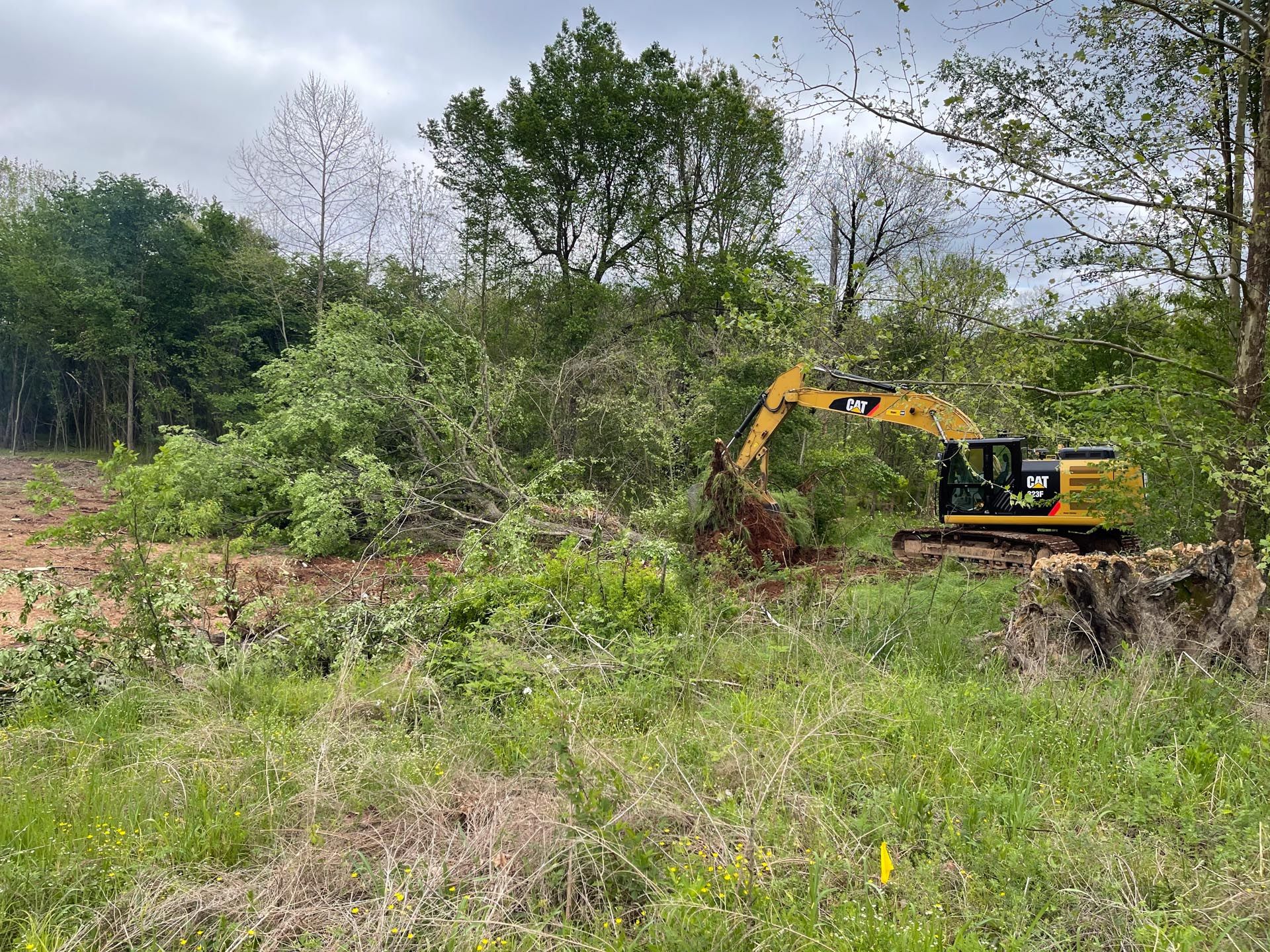 Tree Clearing Services | Gall Excavation | NW AR