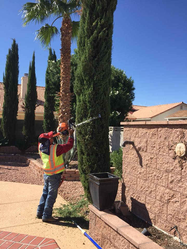 Ruben's Lawn Service - Top Rated Landscaping Services - Las Vegas, Nevada