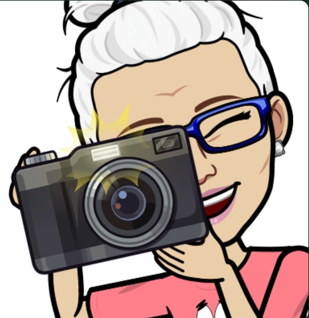 Home [trinitynmb.com]