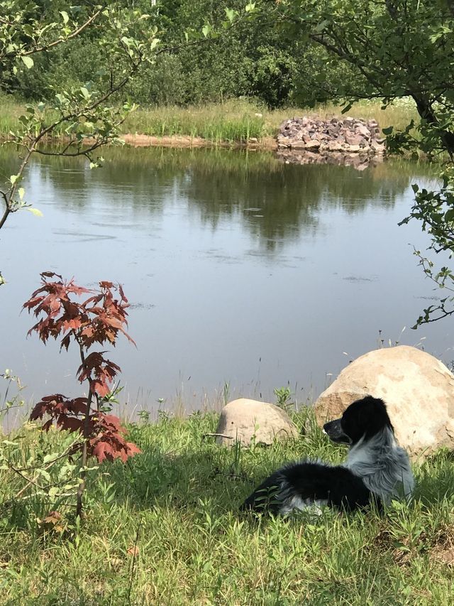 Excavating | Bruce Crossing, MI | Primrose Acres