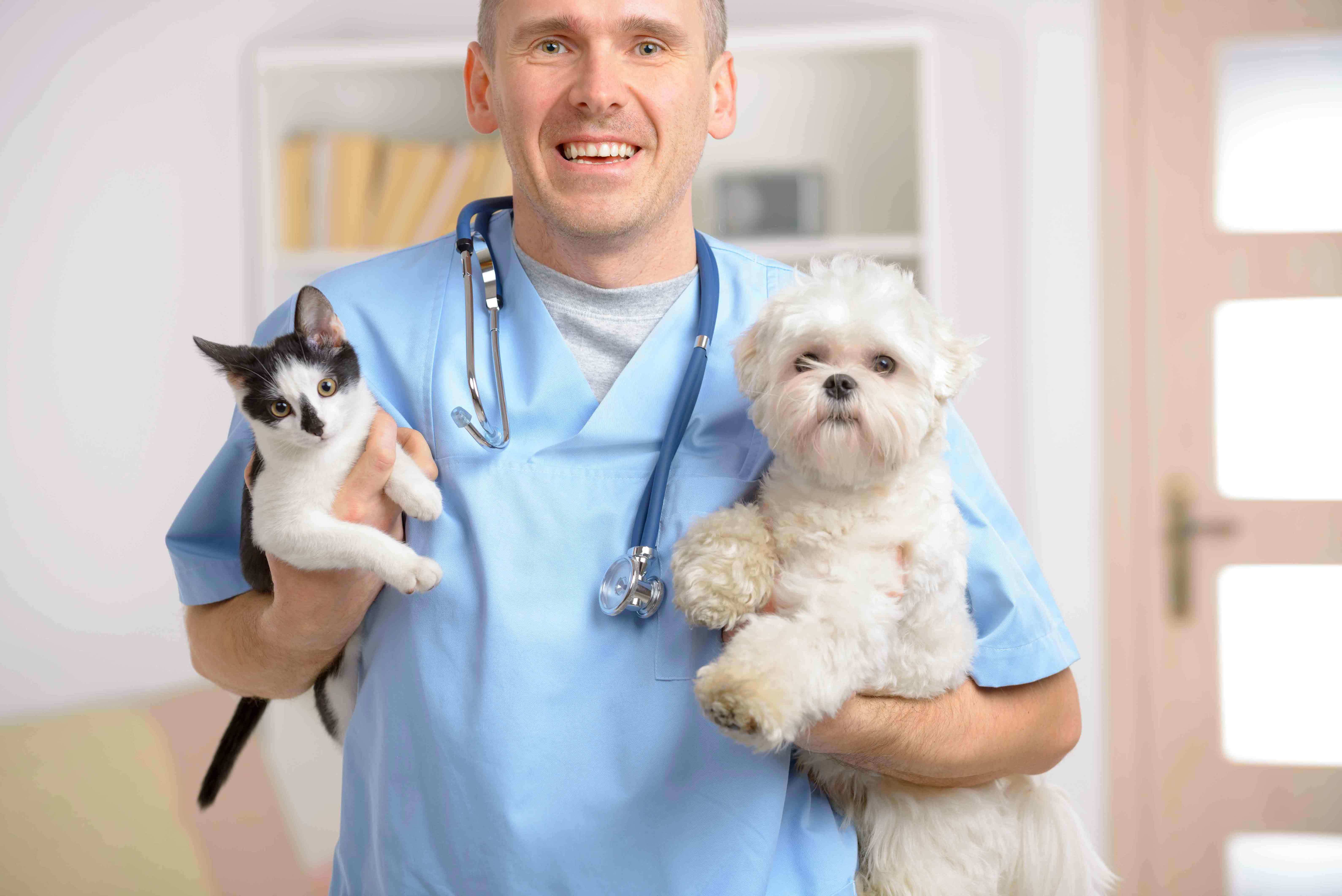 Best Pet Hospital | Veterinary Services | Murrells Inlet, SC