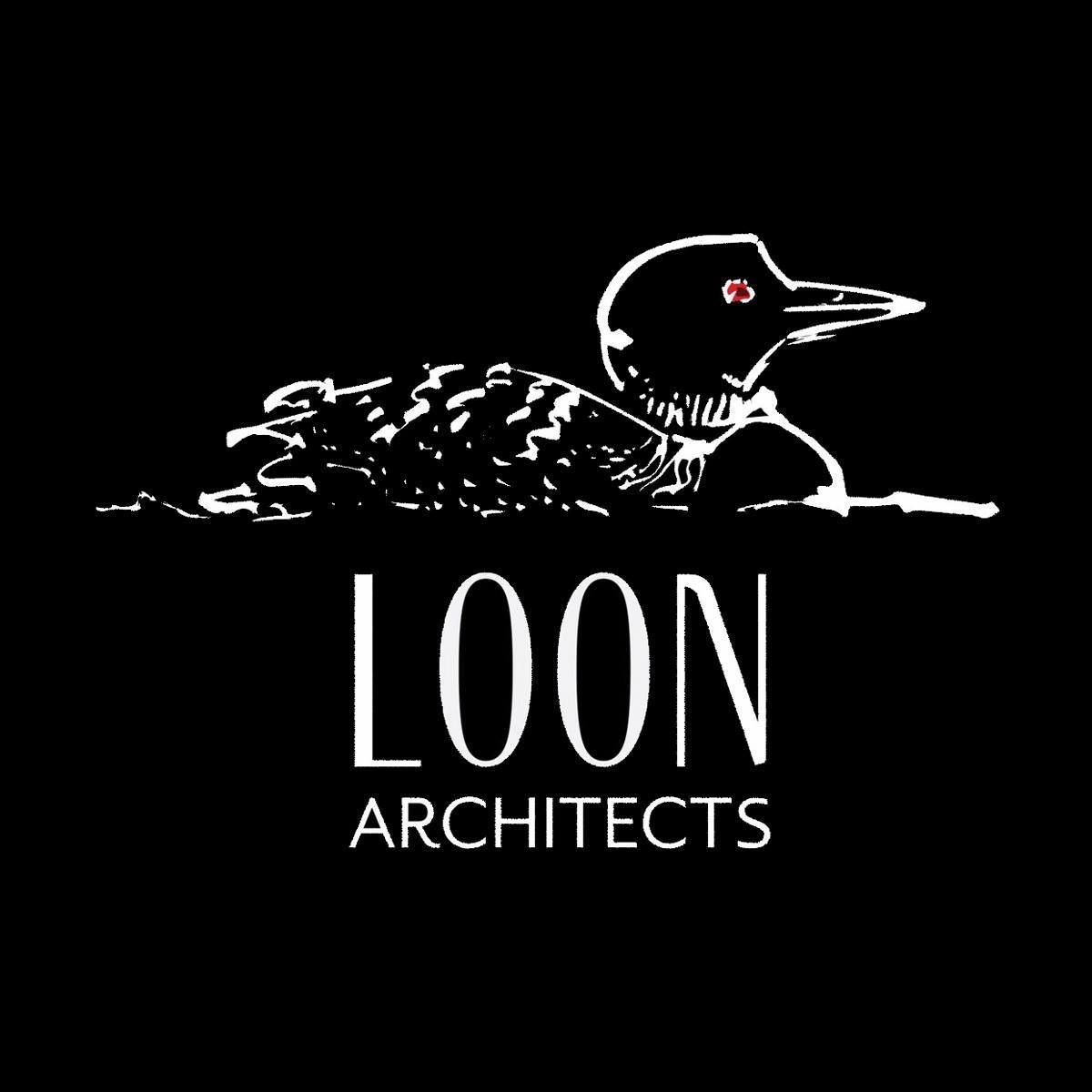 Architectural Design Firm | Twin Cities | Loon Architects LLC