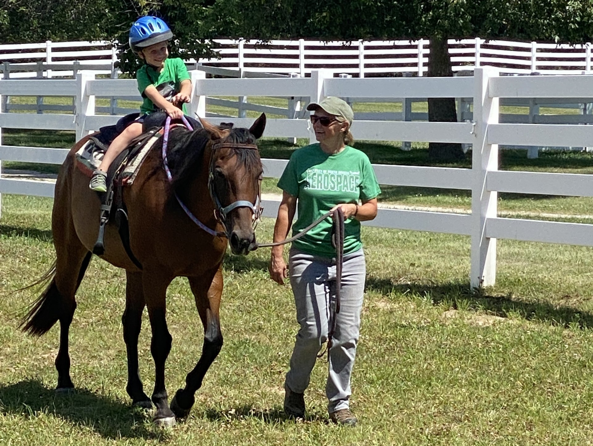 High Cliff Stables