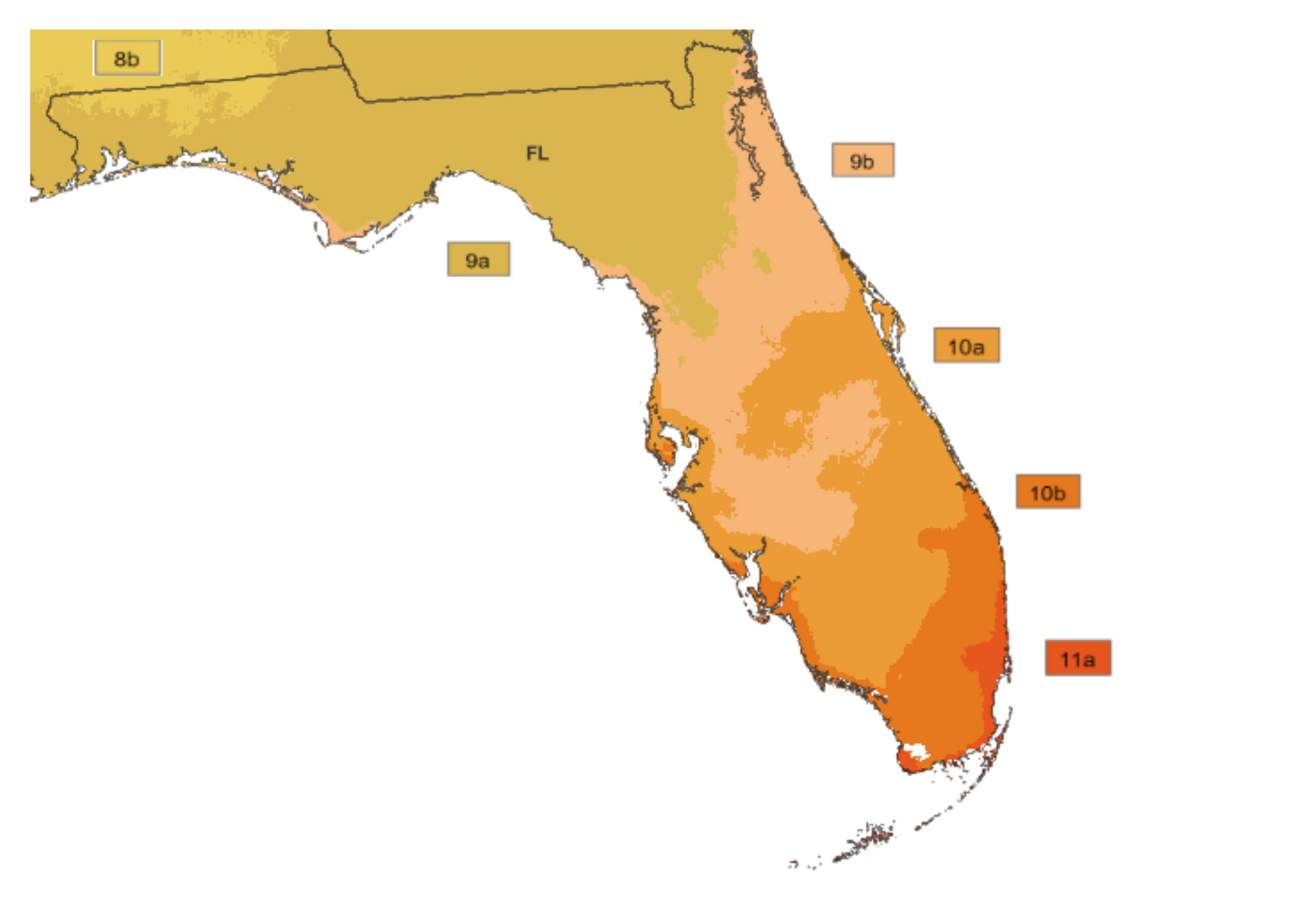 Florida Native Plant Society | Conserve, Preserve & Restore Florida’s ...