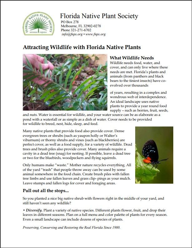 Florida Native Plant Society | Conserve, Preserve & Restore Florida's ...