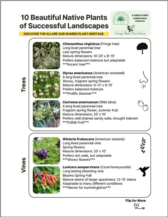 Florida Native Plant Society | Conserve, Preserve & Restore Florida's ...