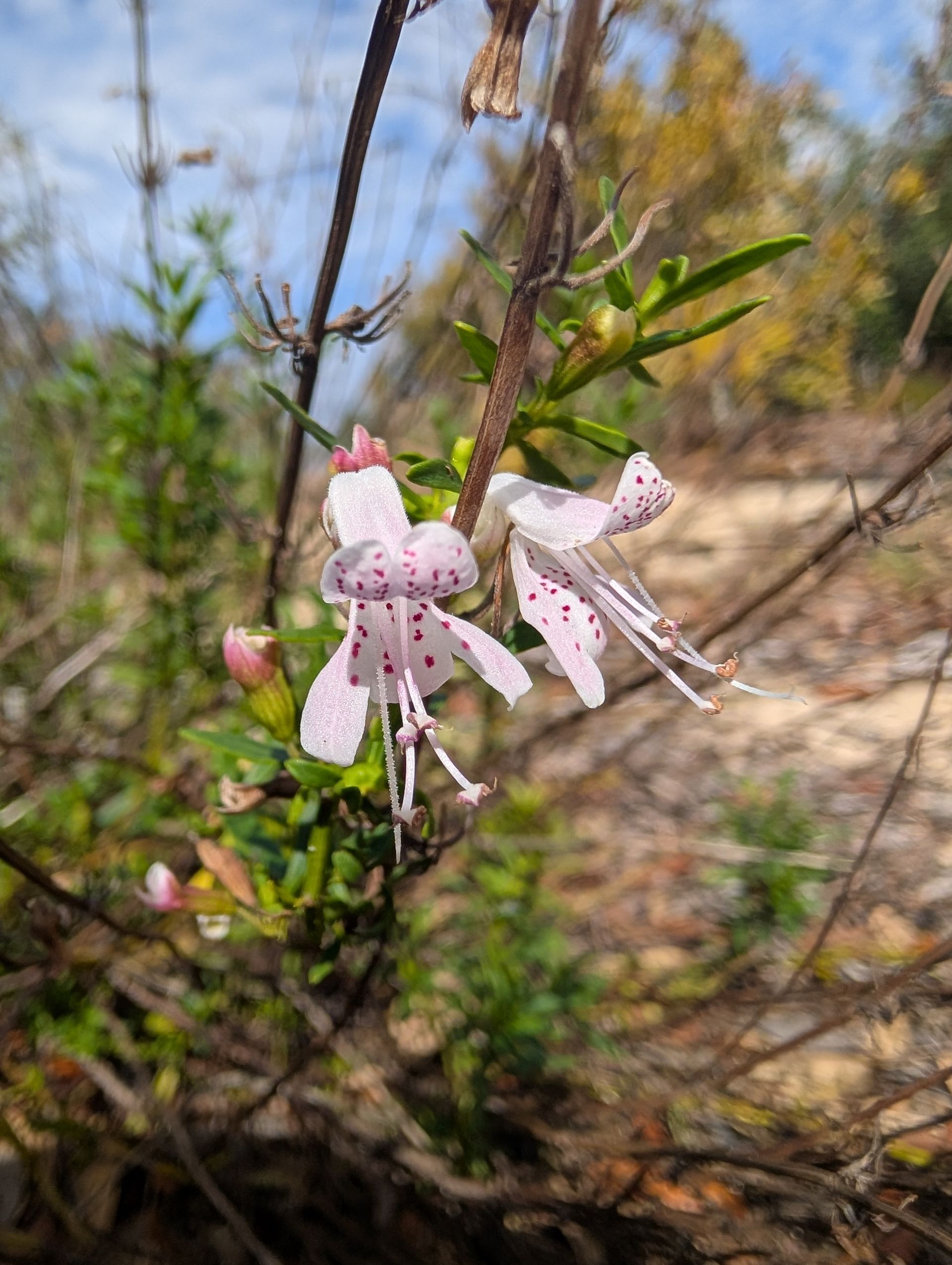 Home [fnps.multiscreensite.com]