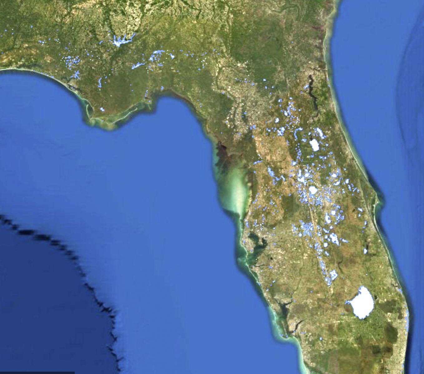 Florida Native Plant Society | Conserve, Preserve & Restore Florida's ...
