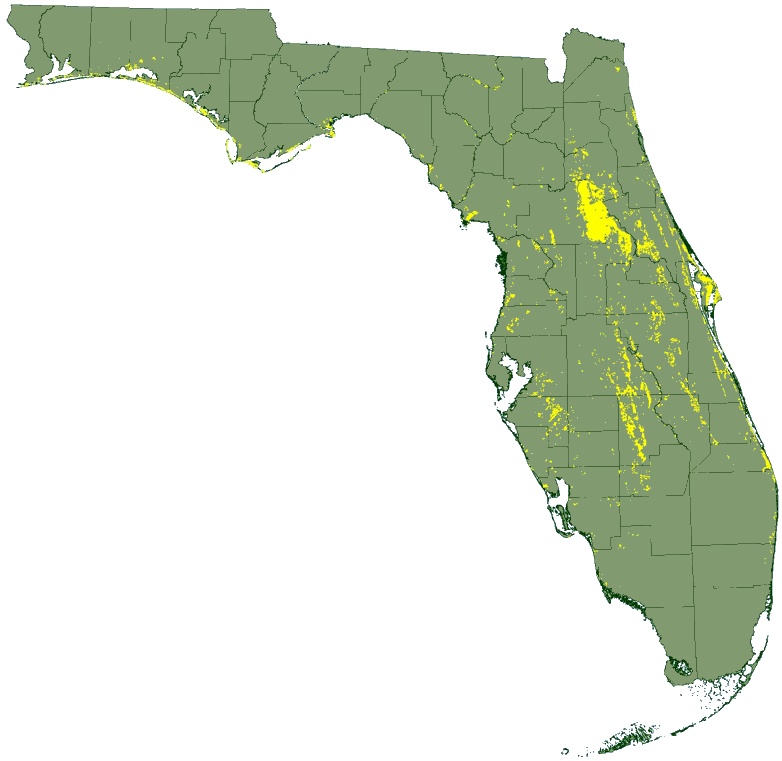 Florida Native Plant Society | Conserve, Preserve & Restore Florida's ...