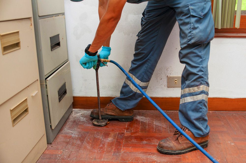 Pest Control Darwin | Territory Pest Control