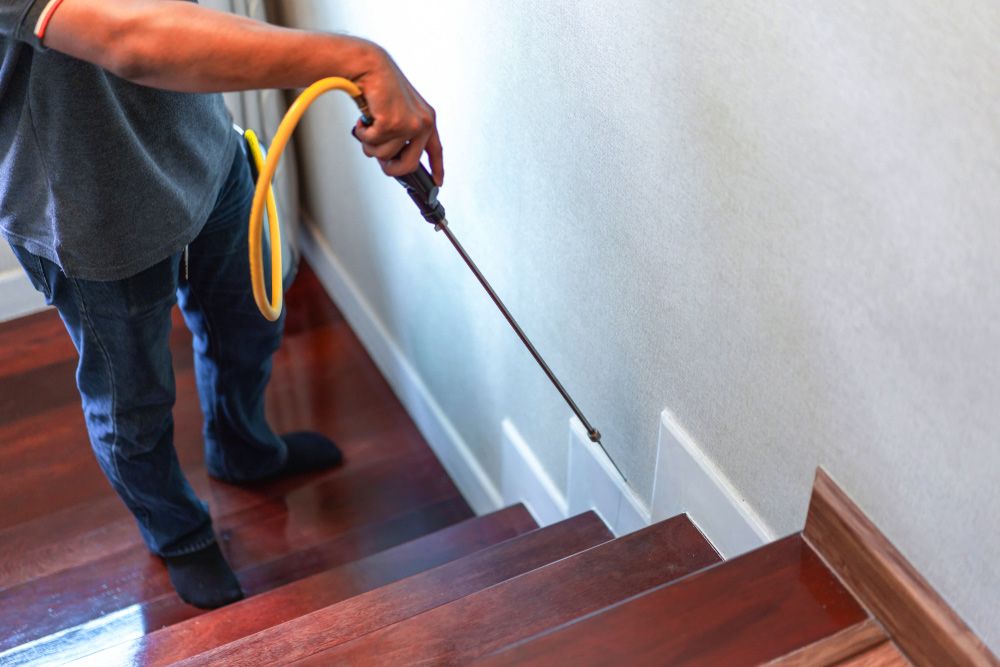 Pest Control Darwin | Territory Pest Control