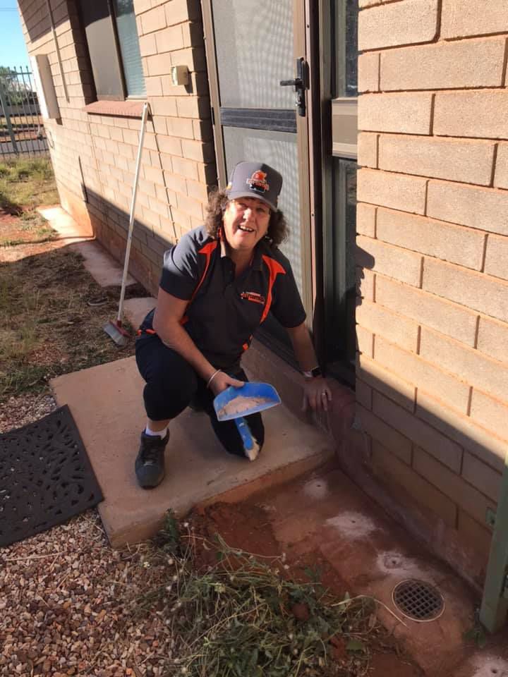 Pest Control Darwin | Territory Pest Control