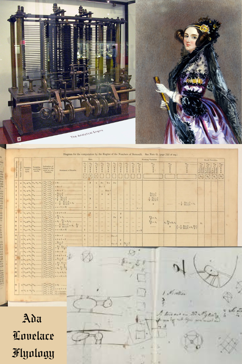 Women In STEM - Ada Lovelace