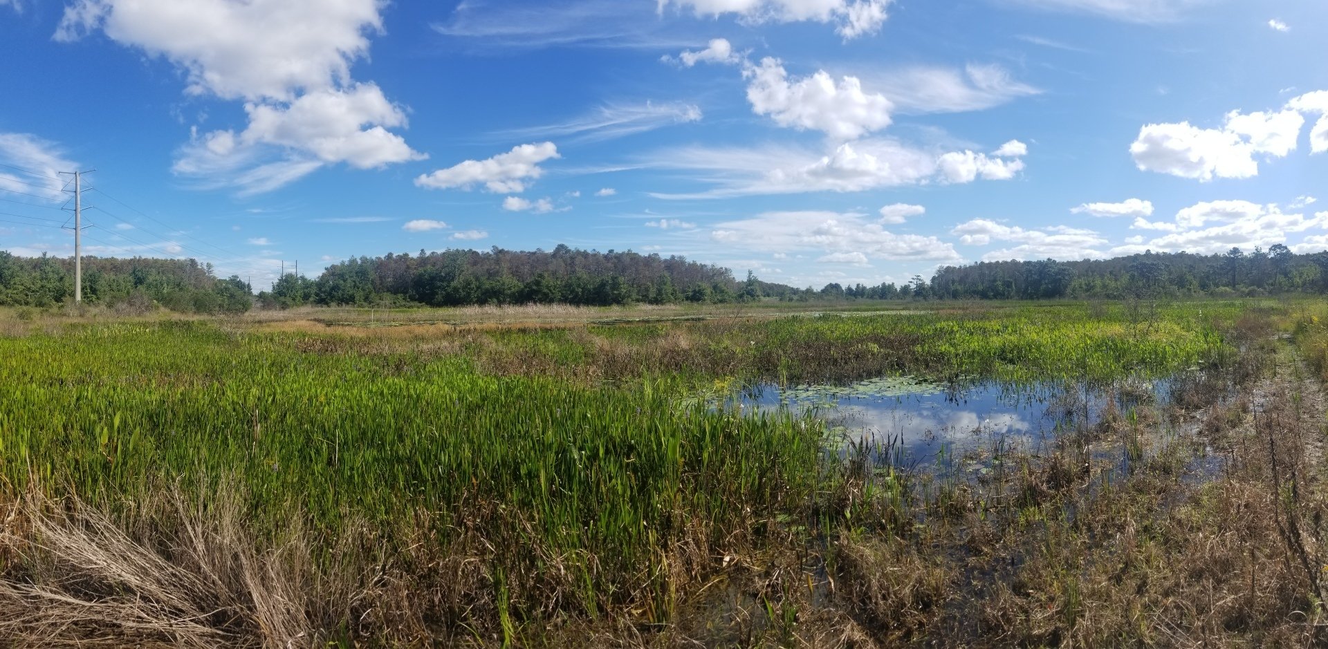 Quickdraw Mitigation Bank | EcoCredit Marketing