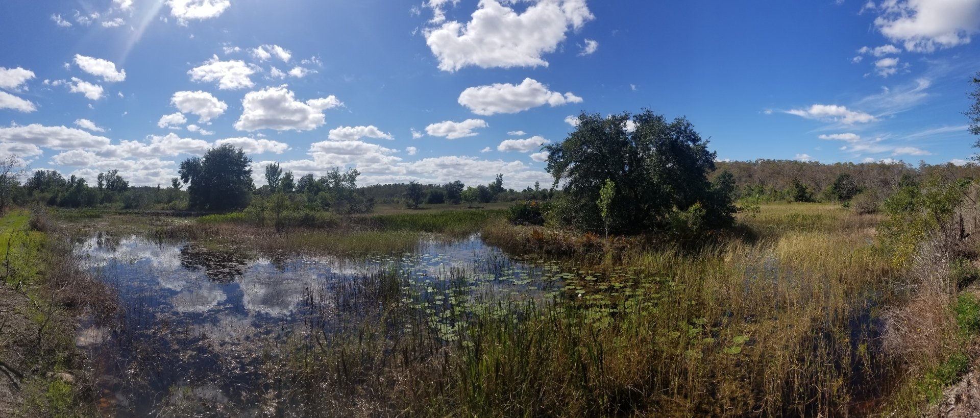 Quickdraw Mitigation Bank | EcoCredit Marketing