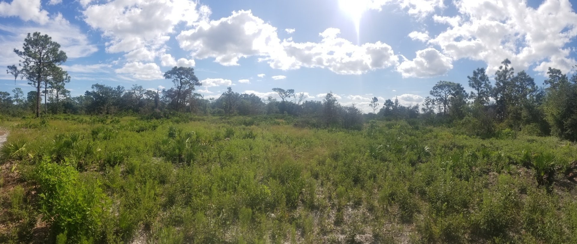 Quickdraw Mitigation Bank | EcoCredit Marketing