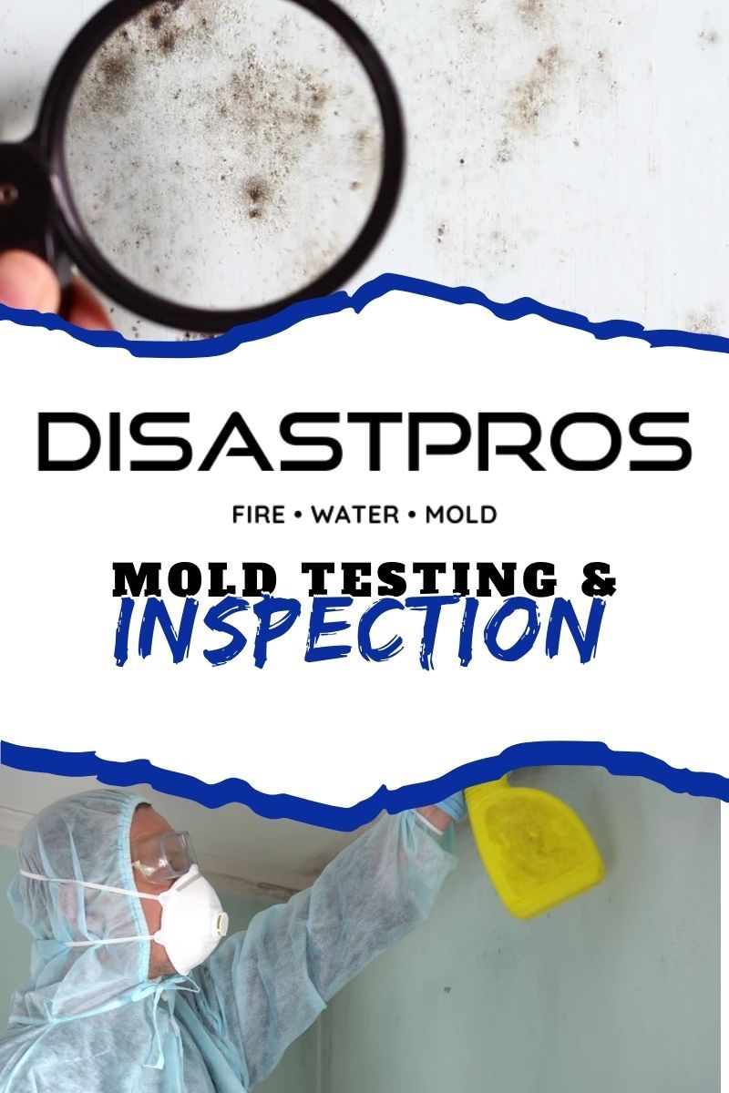 Emergency Water Extraction in Miami - Disastpros Restoration