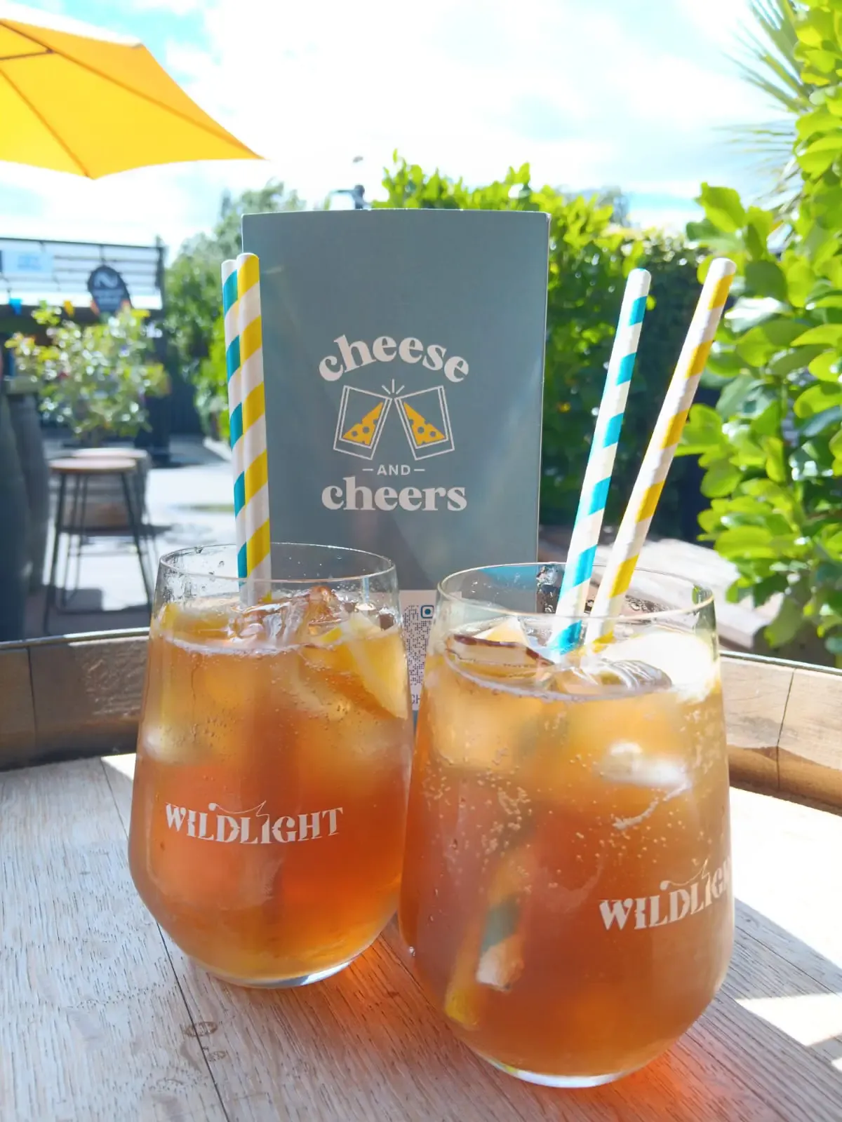 Cheese and Cheers | Whiskey Tasting Room | Marlborough, NZ