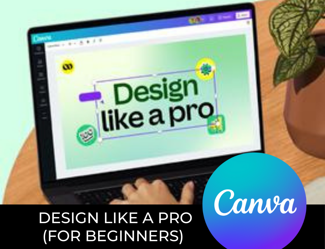 Canva Training | VisionDoers Business Group