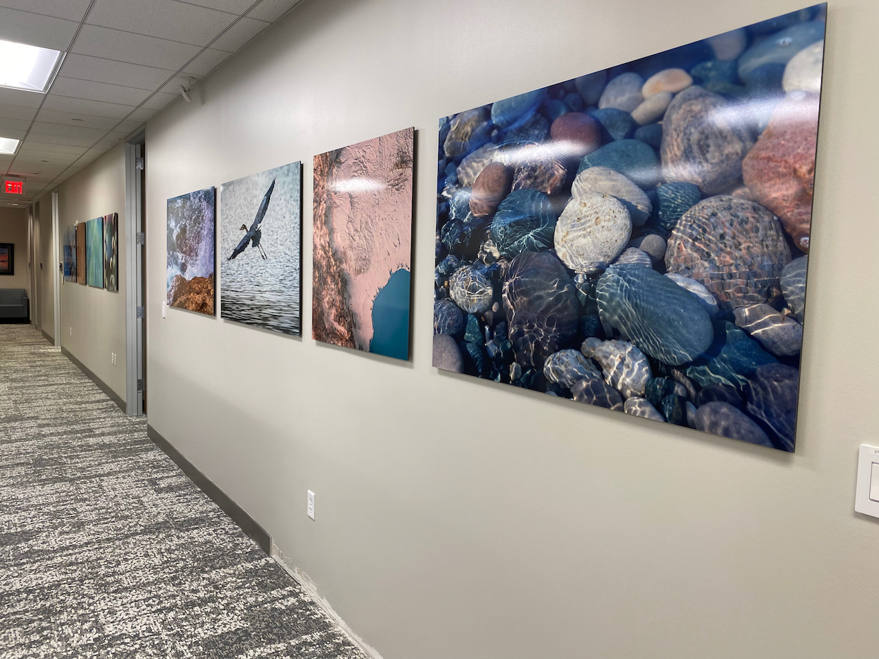 Houston Physicians Hospital | Cowhey Designs | Houston