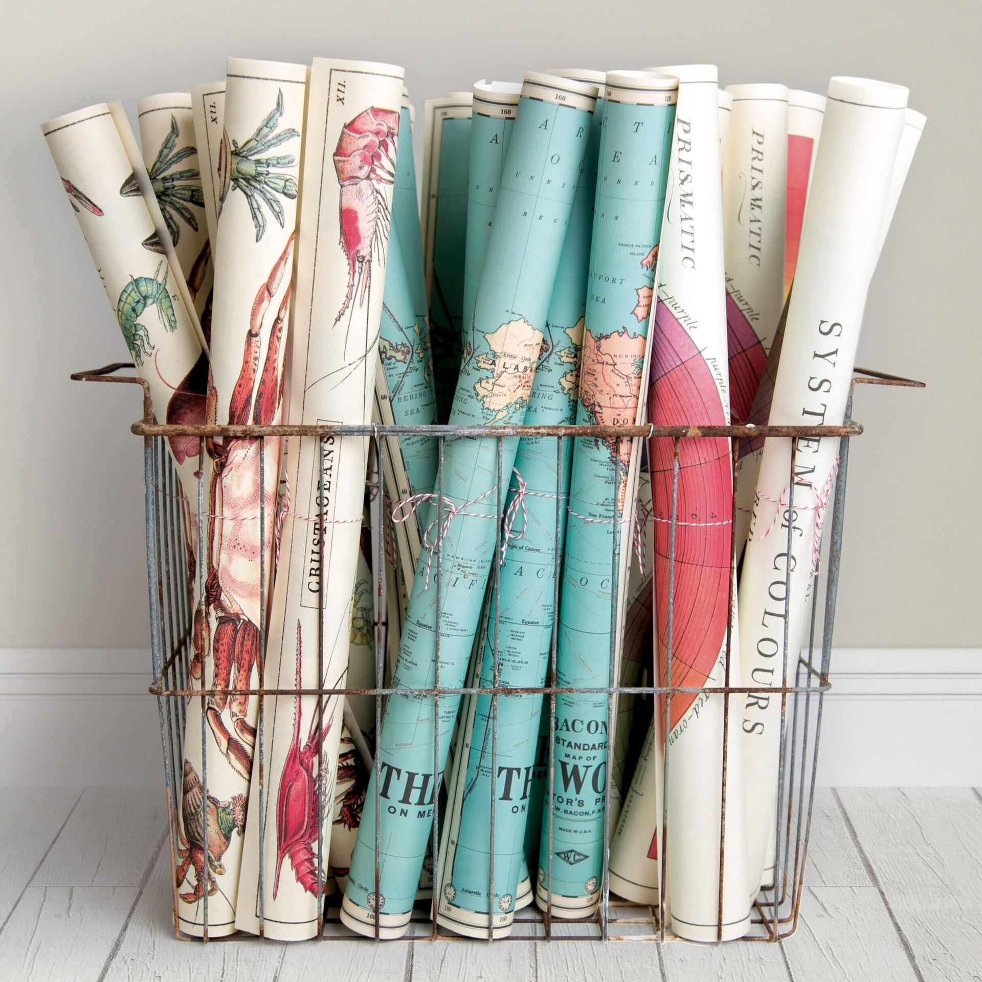 Posters Vintage | Cavallini & Co. Portugal