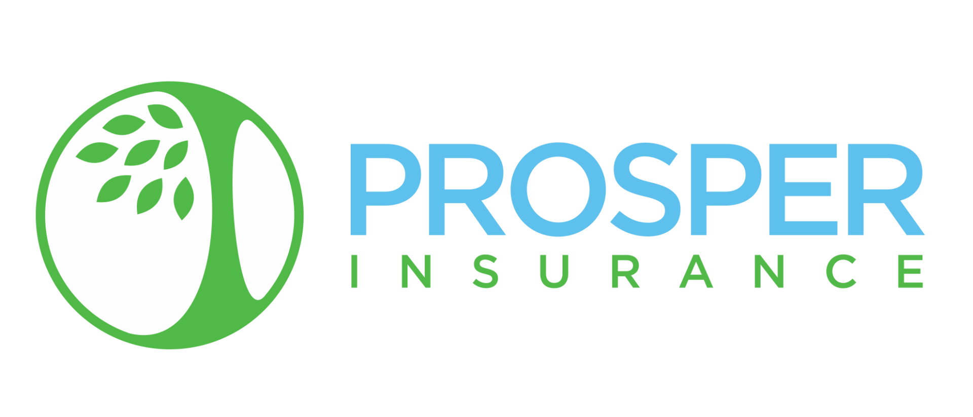 BizConnect Hampton Roads Business Networking