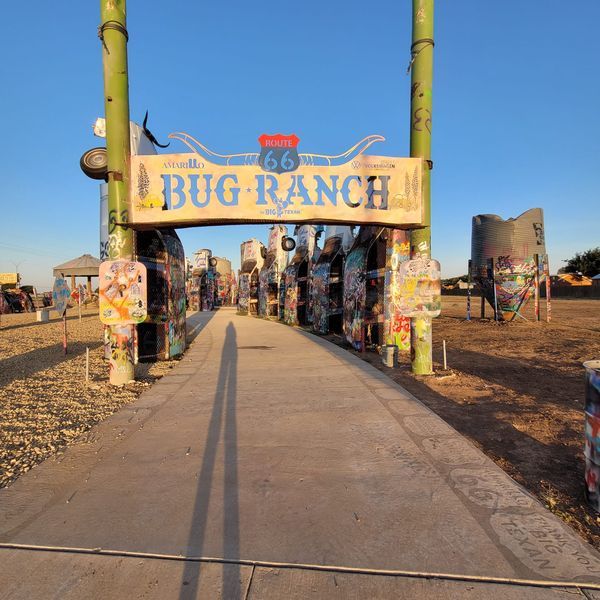 The Bug Ranch | Bug Ranch 66 | Texas Panhandle