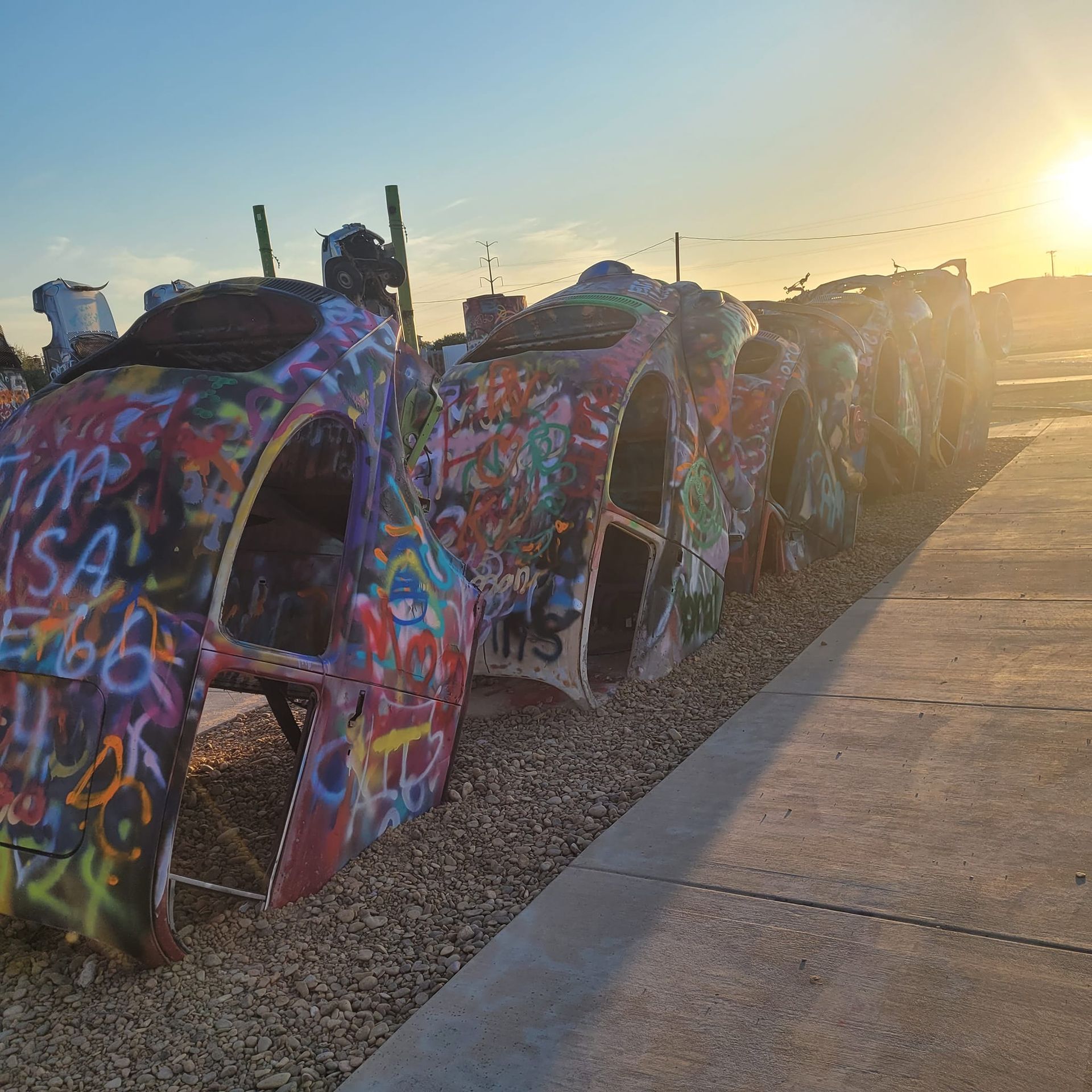 The Bug Ranch | Bug Ranch 66 | Texas Panhandle