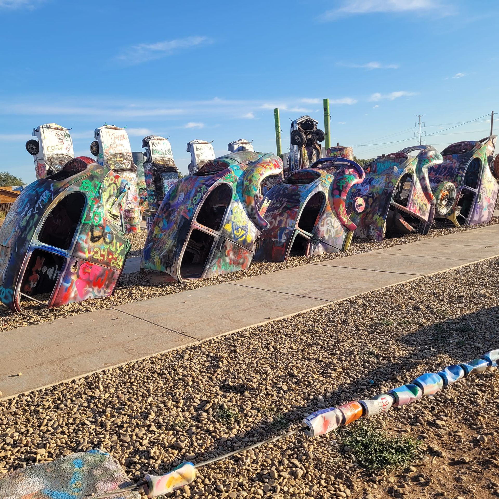 The Bug Ranch | Bug Ranch 66 | Texas Panhandle