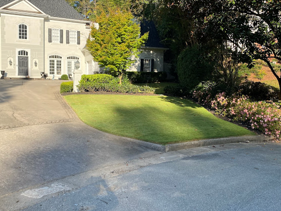 Transforming Lawns with Expert Care | UNDERDOG SPRAYING